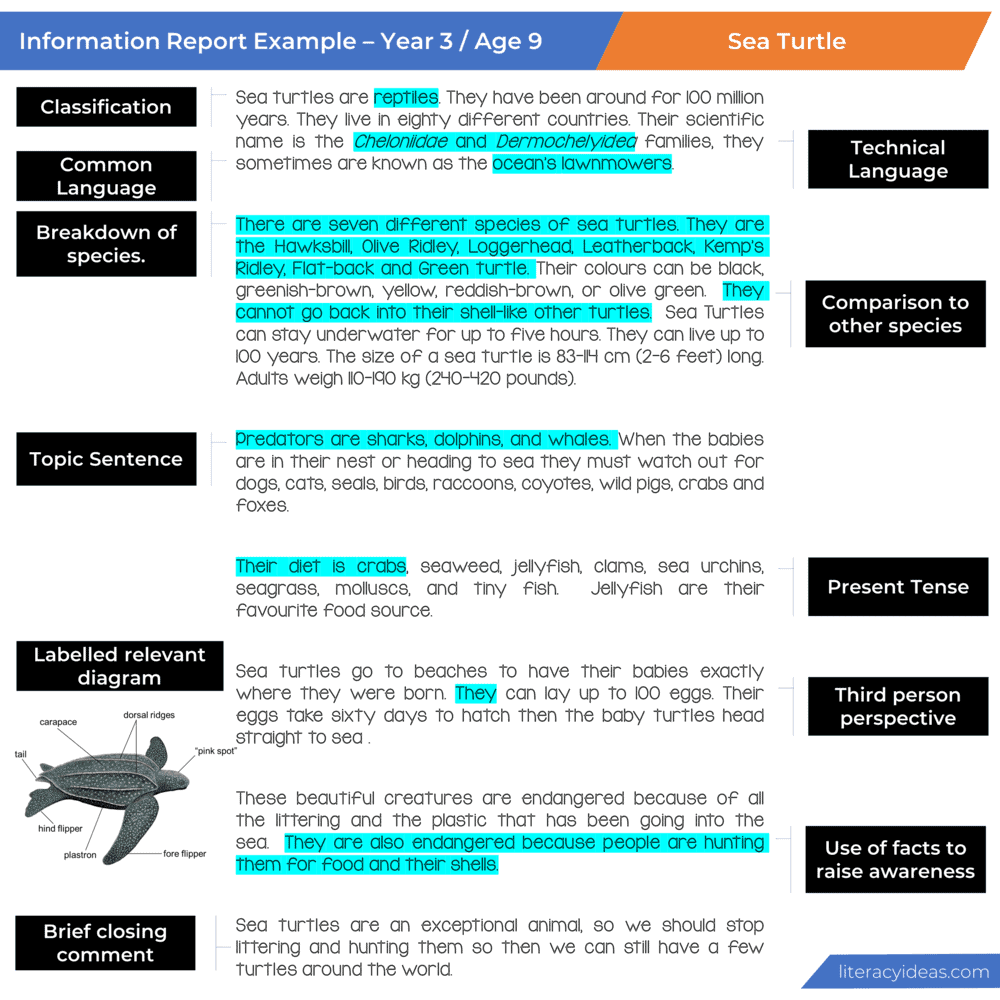 How To Write An Excellent Information Report