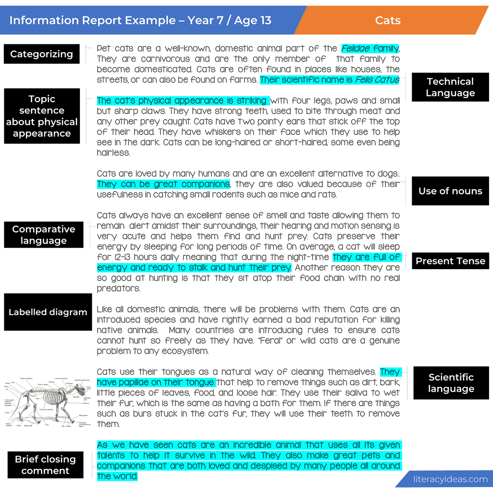 How To Write An Excellent Information Report